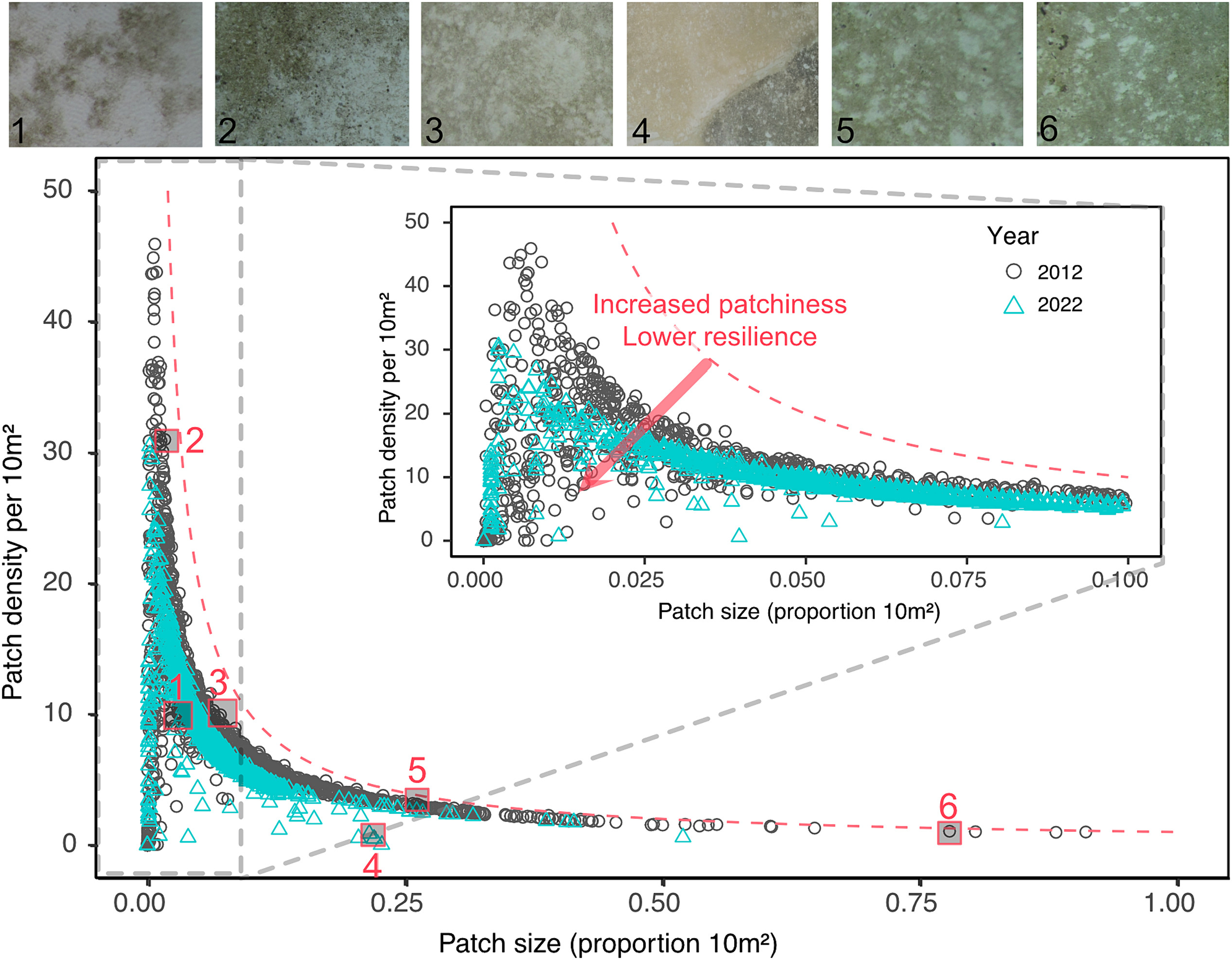 Automated detection of vegetation and megaherbivores from drone imagery ...